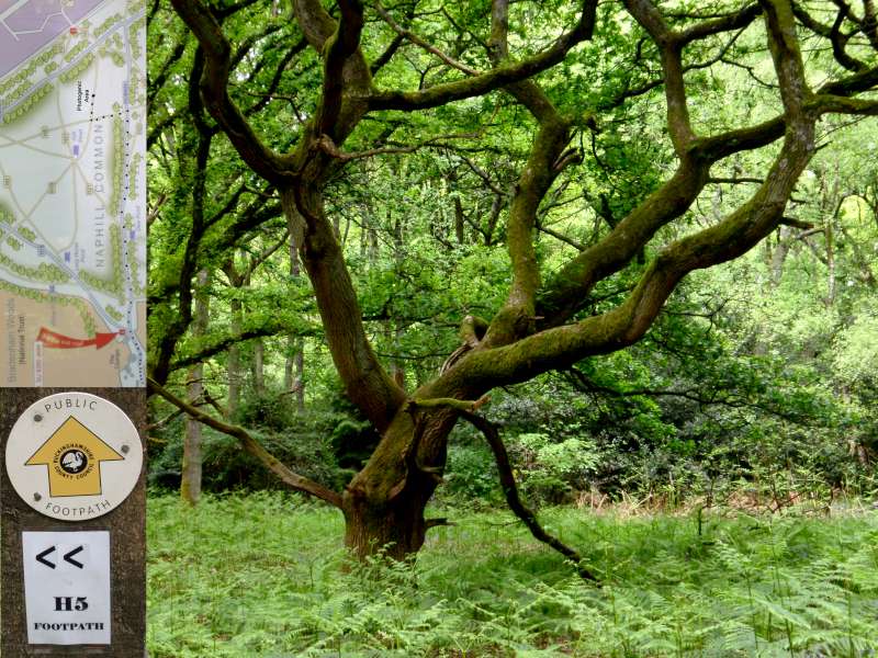 Walks in the High Wycombe area provided by Changing States for ...