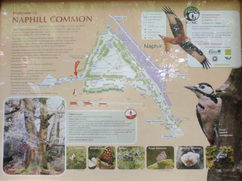 Walks in the High Wycombe area provided by Changing States for ...